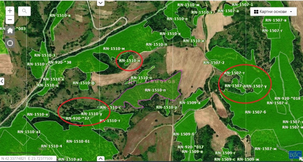 Сигнал за незаконна сеч Защити Гората
